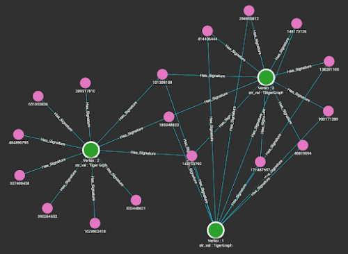 MinHash Based Fuzzy Match on Graph - TigerGraph